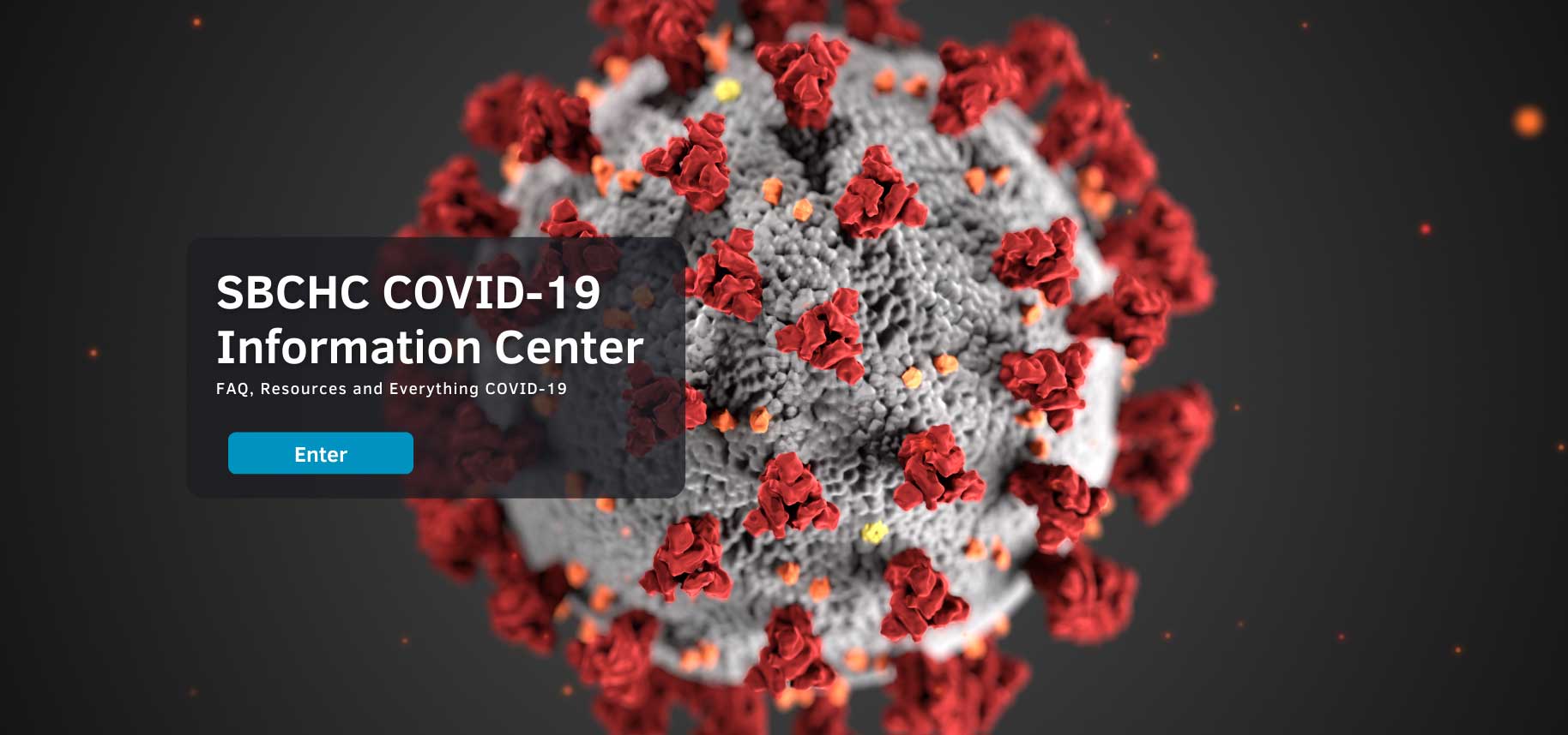 Home Page 2.0 - Spring Branch Community Health Center